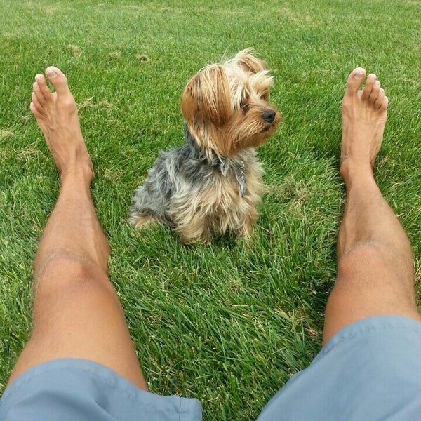 Photos at Port Sheldon Sports Complex - Soccer Field