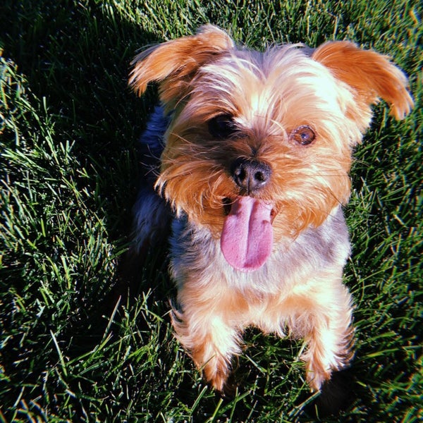 Photos at Port Sheldon Sports Complex - Soccer Field