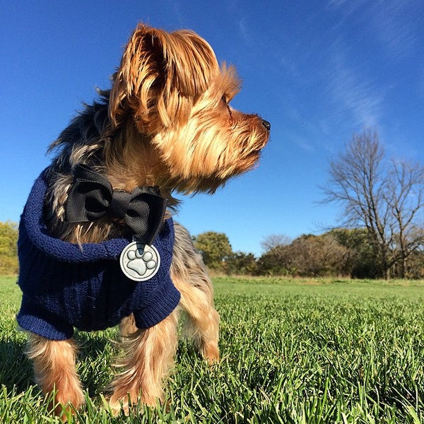 Photos at Port Sheldon Sports Complex - Soccer Field