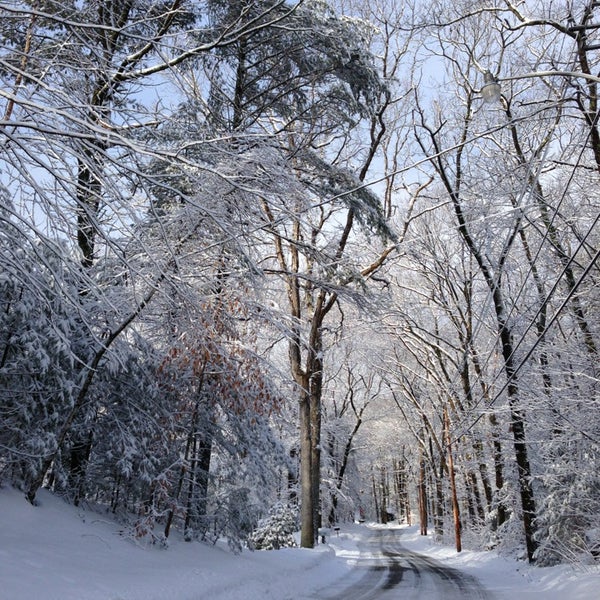The Perley School - 23 visitors