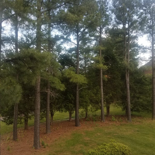 Dominion Valley Country Club - Golf Course