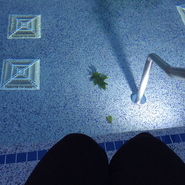 Evergreen Swimming Pool - Swimming Pool in Stone Mountain