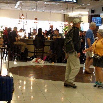 Concourse B Food Court - Concourse B