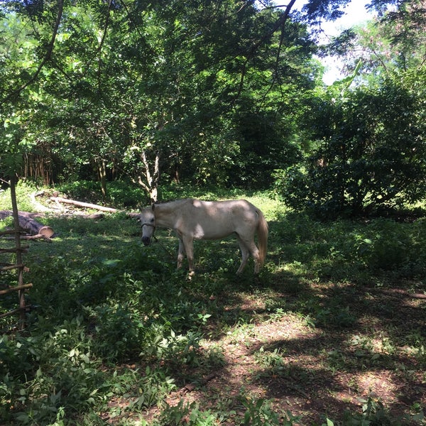 Ouan's Worth Farm and Resort - Hotel