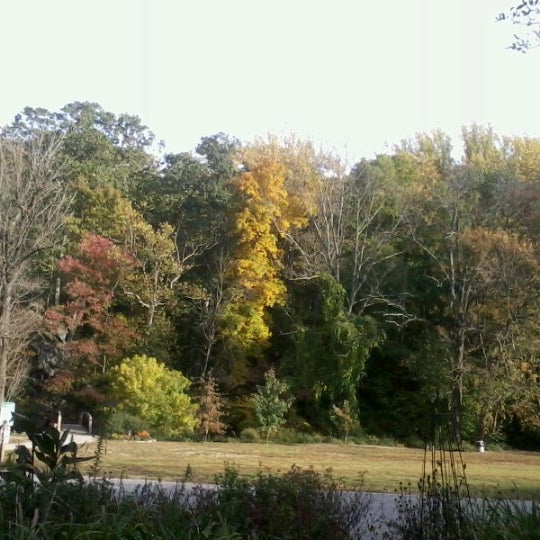 Lorimer Park - 4 tips from 363 visitors