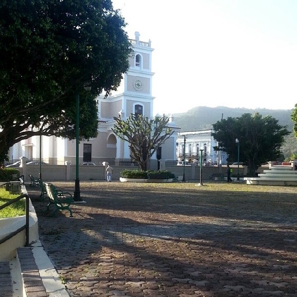 Municipio de Cayey - 11 tips