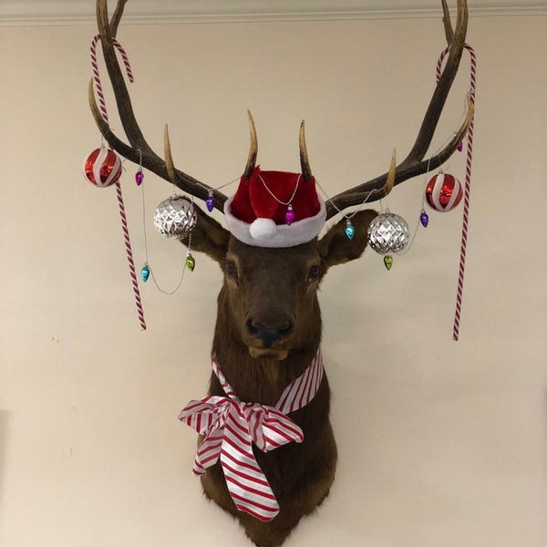 BPO Elks Lodge #2114 - Heart of Arlington - 0 tips