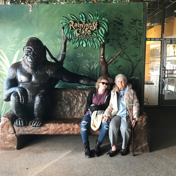 Rainforest Cafe - Theme Restaurant