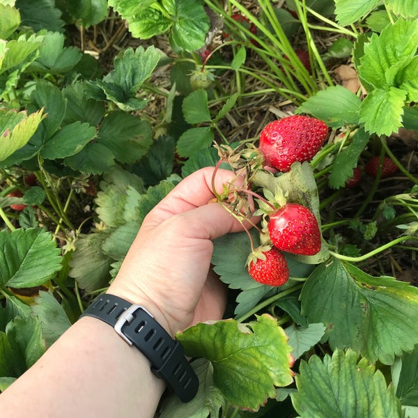 Hallbergmoos - 5 tips from 483 visitors