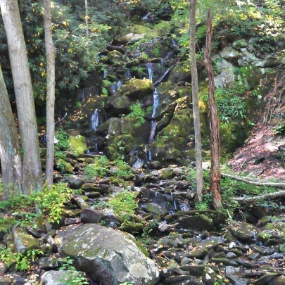 Lehigh Park - Baseball Field