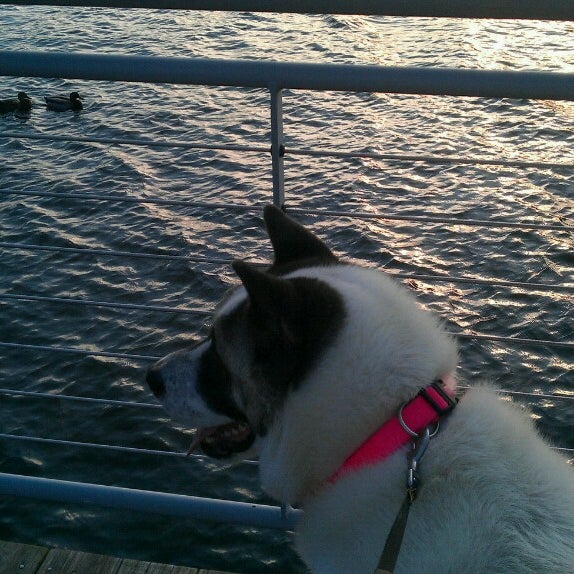 Photos at Wilson Point Park - Park