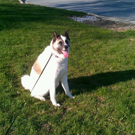 Photos at Wilson Point Park - Park