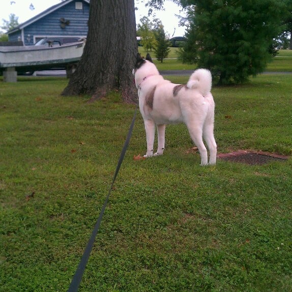 Photos at Wilson Point Park - Park