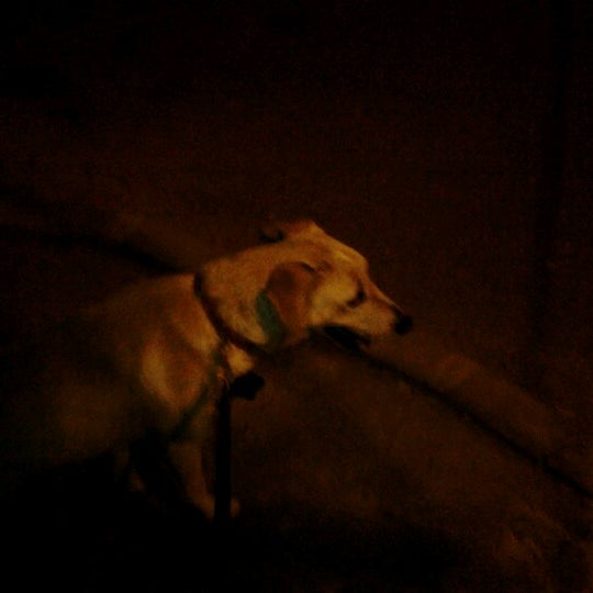 Cartierul Rahova - Neighborhood in Rahova