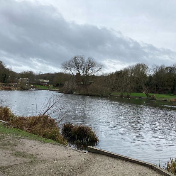 Capstone Farm Country Park - Park
