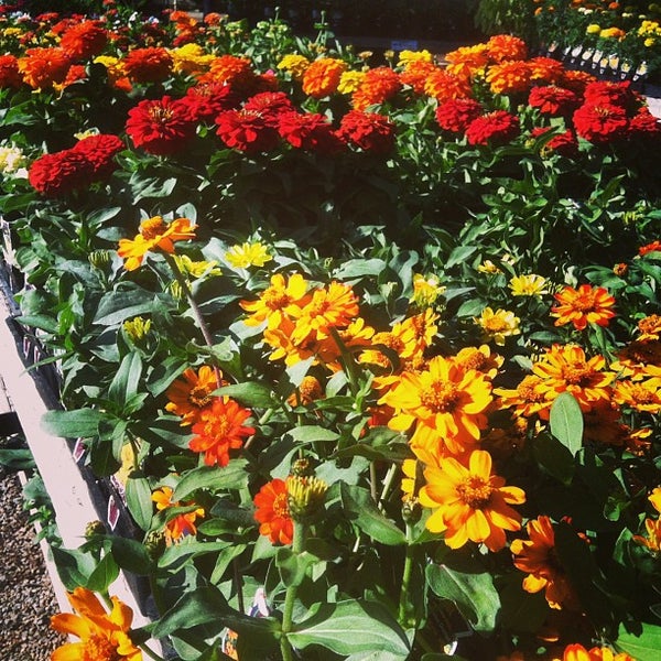 Photos at Alden Lane Nursery - Livermore-Pleasanton, CA