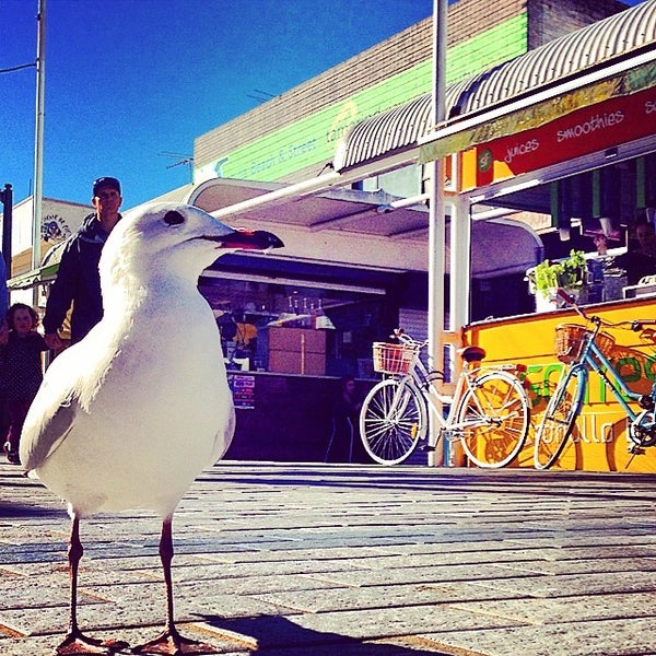Photos at Cronulla Bicentennial Plaza - Pedestrian Plaza
