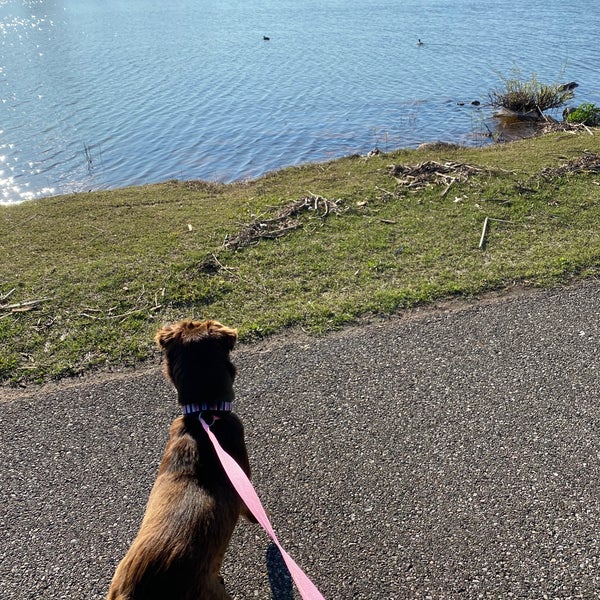 Hefner Lake & Park - 3 tips from 192 visitors