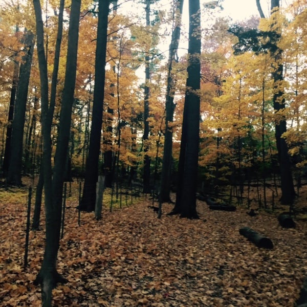 Sherwood Park - Davisville - 8 tips