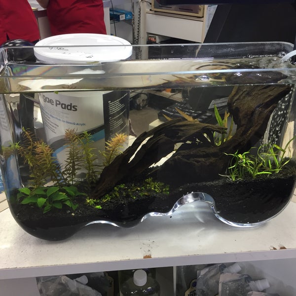 Marine Warehouse Aquarium - Pet Supplies Store