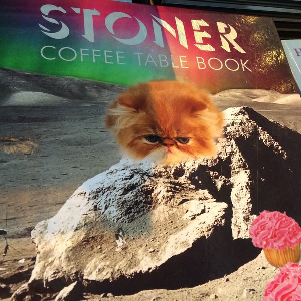 Kitson @The Headquarters - Marina - 1 tip from 140 visitors