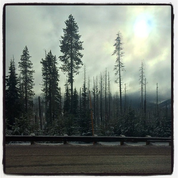 Santiam Pass - 3 tips from 170 visitors
