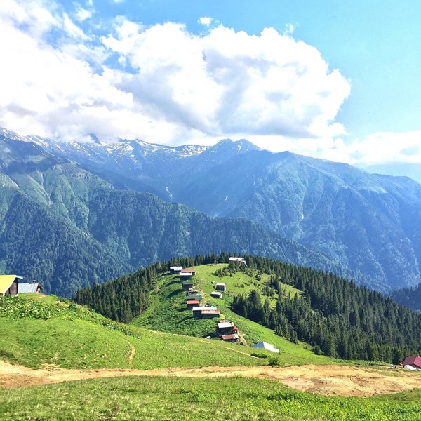Pokut Yaylası - 65 tips from 6499 visitors