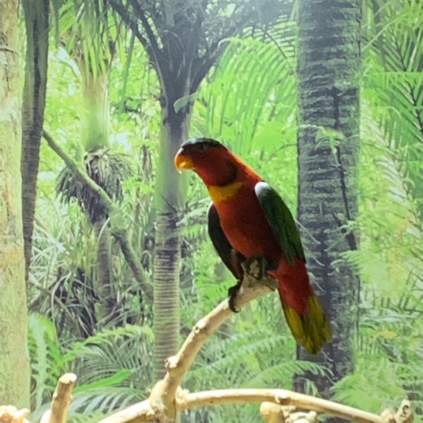 Avonturia De Vogelkelder - Kerketuinen en Zichtenburg - 7 tips from 672 ...