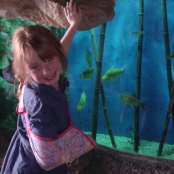 Amazonia - Uptown Broadway - San Antonio Zoo