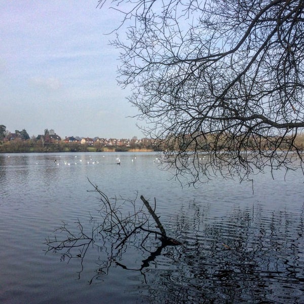 The Heath - Park in Petersfield