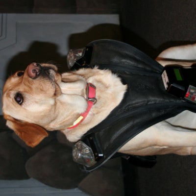 Lazer Gate - 7 tips from 393 visitors