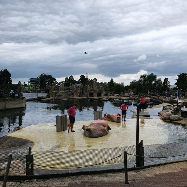 Dolfinarium - Aquarium