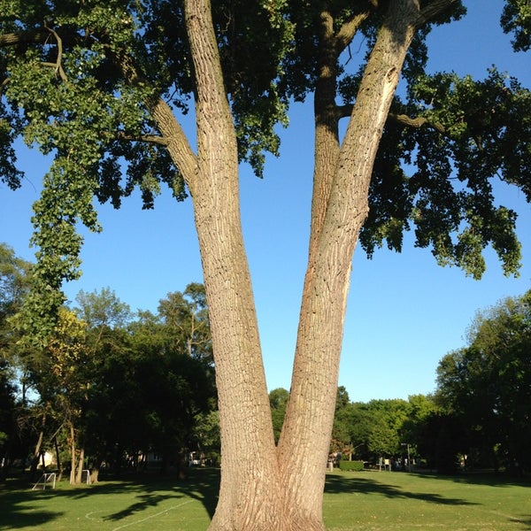 Denning Park - La Grange, IL