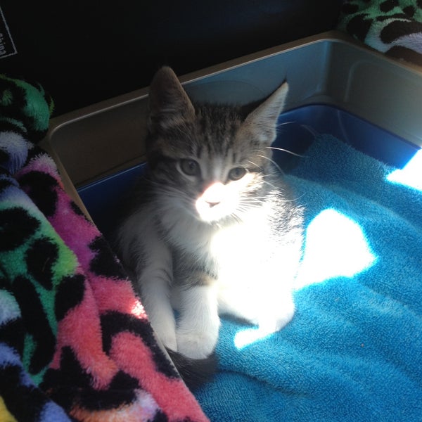 Spangler Hall - College Residence Hall in Lacey