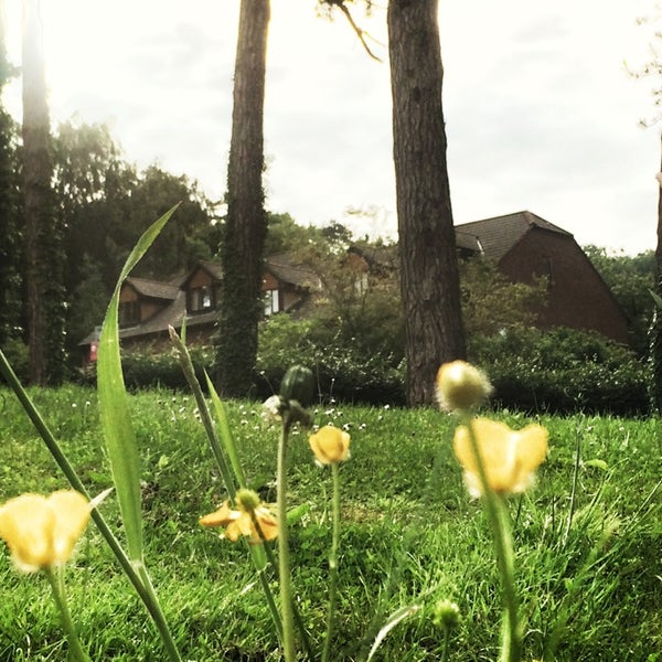 Photos at Duryard Halls - University of Exeter - Exeter, Devon