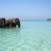 Elephant Beach