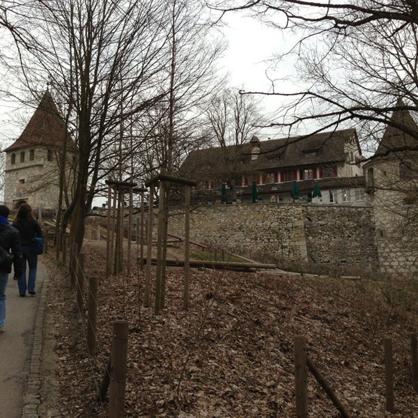 Schloss Laufen - Palace in Dachsen