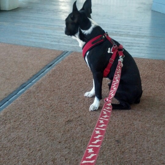 Photos at Merwin Memorial Animal Clinic - 8 tips from 174 visitors