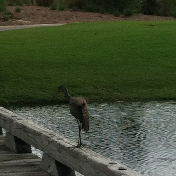 High Ridge Country Club - 2400 Hypoluxo Rd