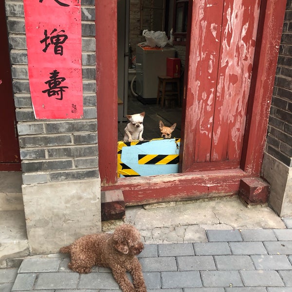 Hutong Tour - Other Great Outdoors in Beijing