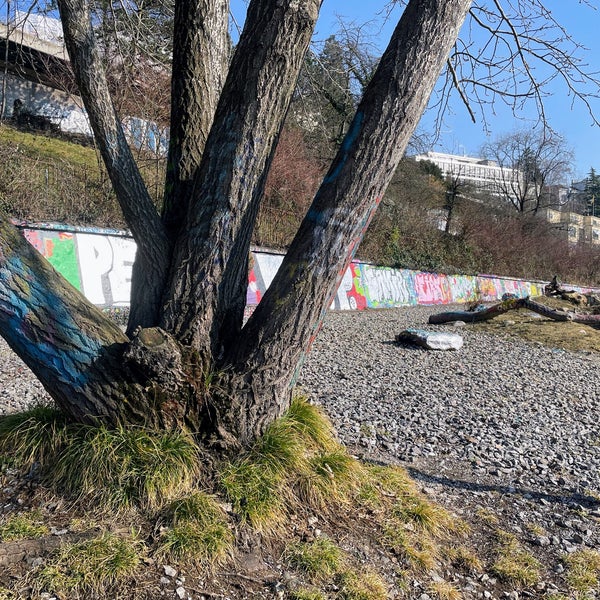 Flussbad Oberer Letten - Kreis 5 - Zürich, Zürich