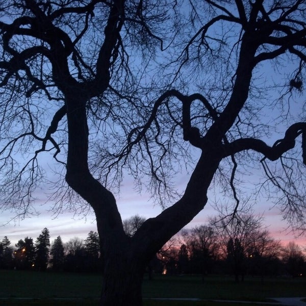 Photos at Cheesman Park - Park in Cheesman Park