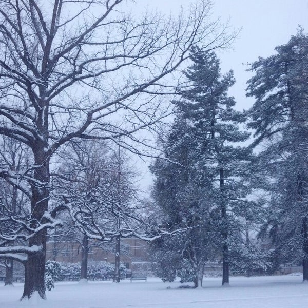 Photos at Cheesman Park - Park in Cheesman Park
