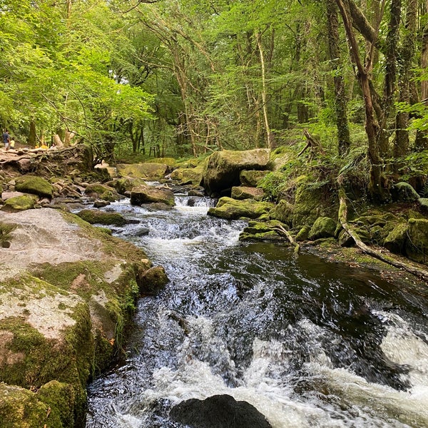 Golitha Falls - Waterfall
