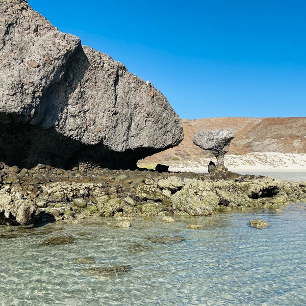 Hongo de Balandra - La Paz, Baja California Sur
