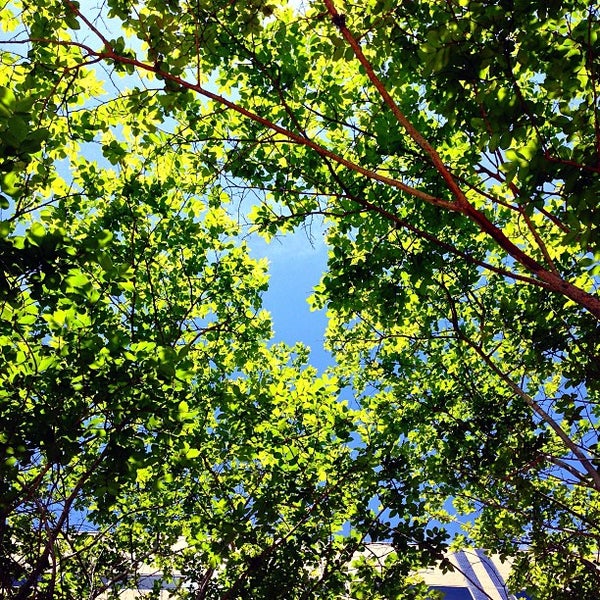 Photos at Jack E. Brown Chemical Engineering Building - Texas A&M ...