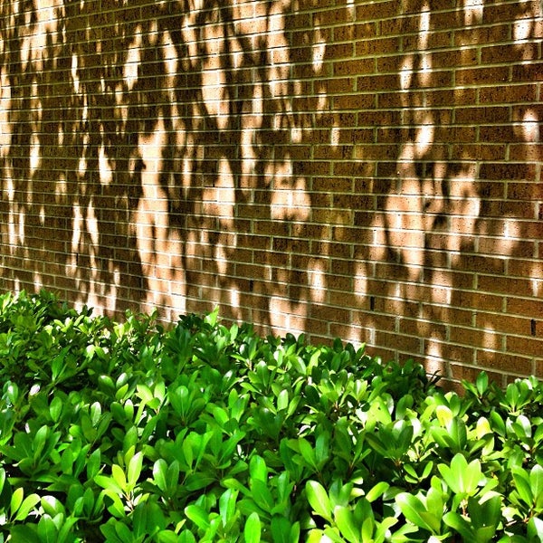 Jack E. Brown Chemical Engineering Building - Texas A&M University - 10 ...