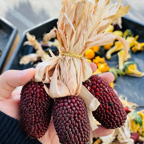 Guide to Santa Fe's best spots