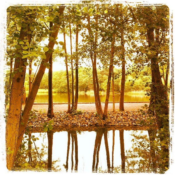 Silvermere Golf Centre - 5 tips