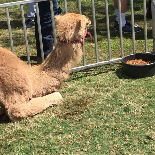 Manufacturing Research Center (MaRC) - Georgia Tech - 813 Ferst Dr NW